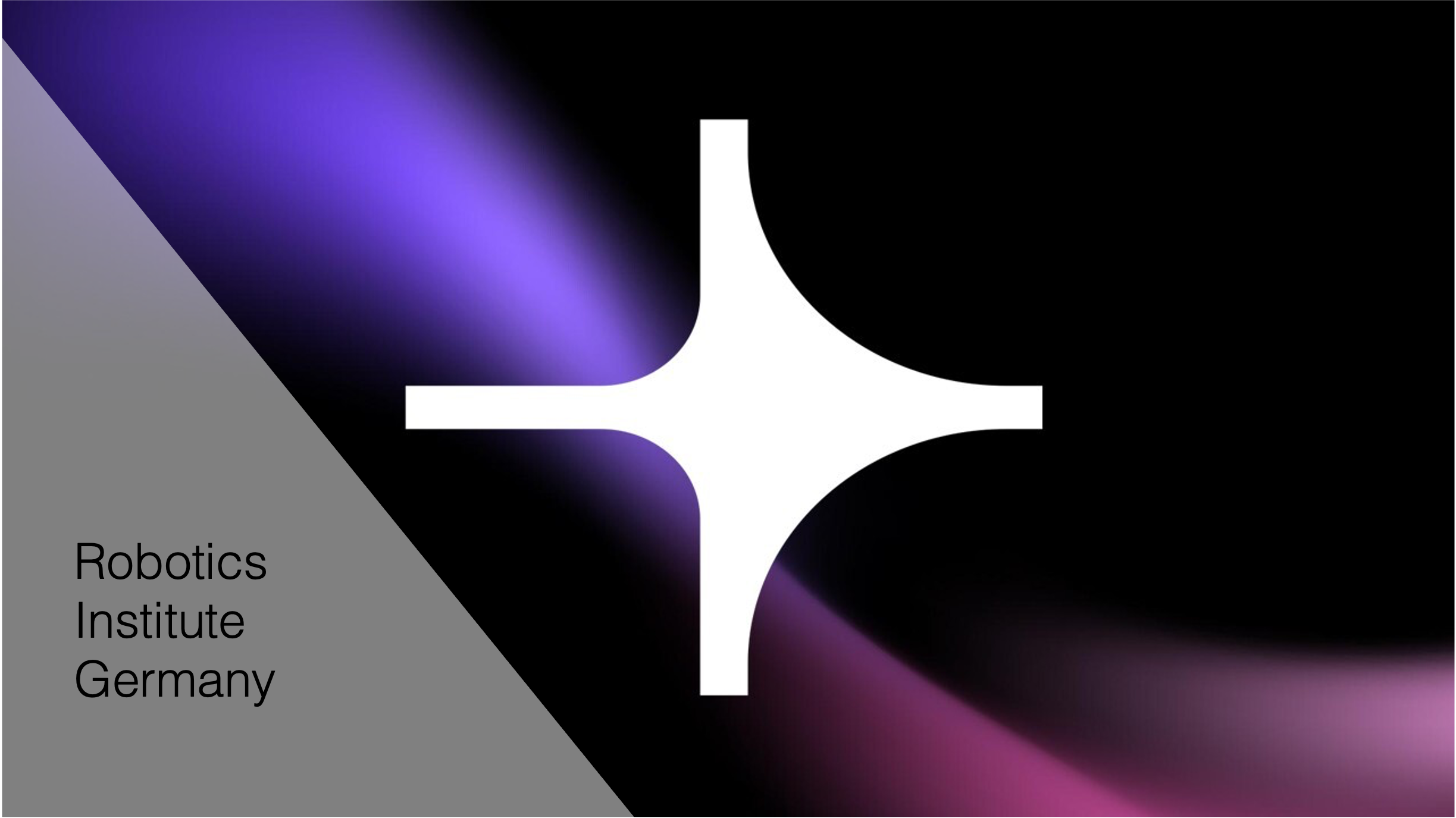 Robotics Institute Germany | HEX Lab