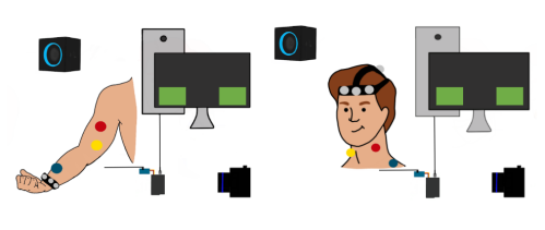 Neural Motion Tracking: Formative Evaluation of Zero Latency Rendering ...